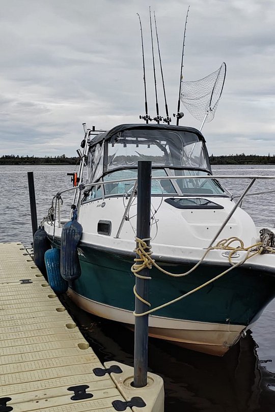Усадьба Рыбак с семьей - Свирица, Ленинградская область, фото гостевого ...
